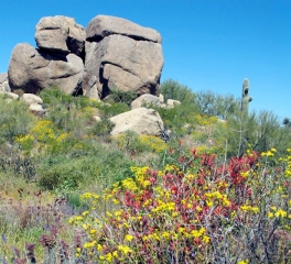 Estates at Desert Crest in Troon Scottsdale AZ